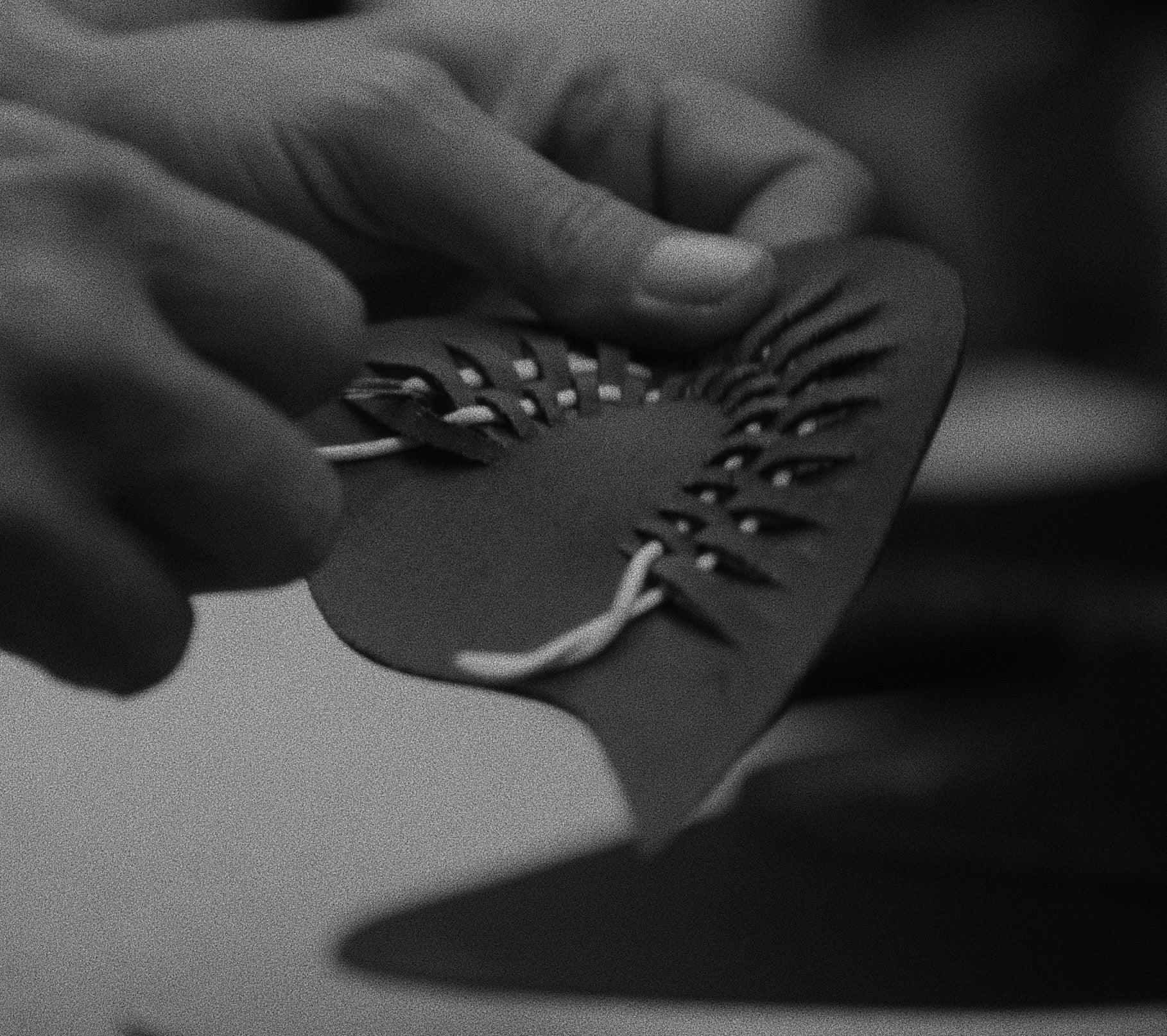 Alaska Black – George Cox